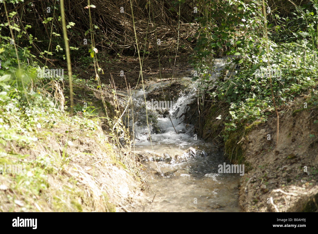 Barton spring hi-res stock photography and images - Alamy