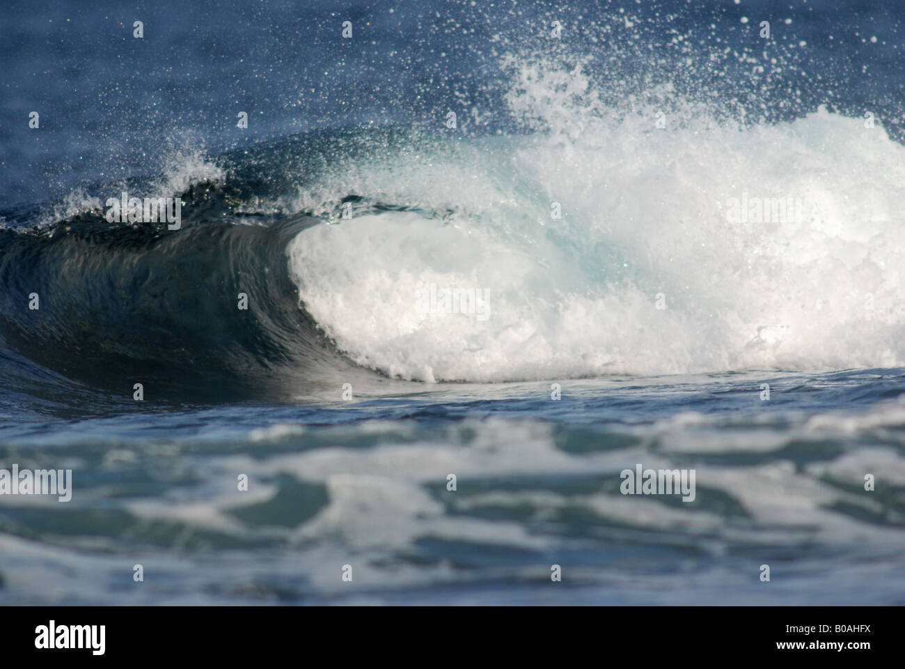 breaking wave on the reef at Brimms Ness near thurso highlands scotland ...