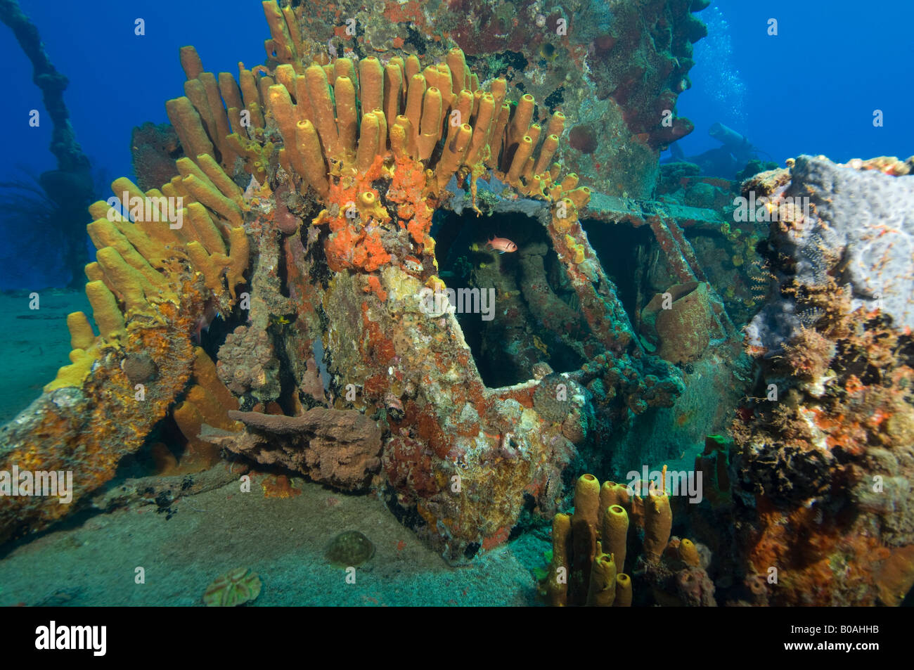 Tourism adventure superstructure fish horizontal aquatic wreck st lucia ...