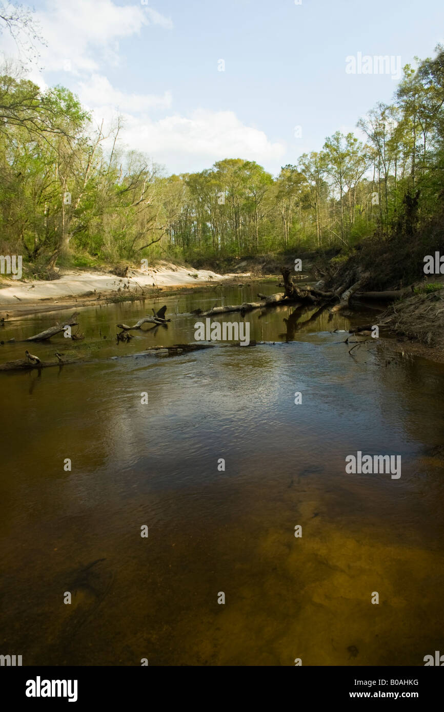 Strong River in Mississippi Stock Photo - Alamy