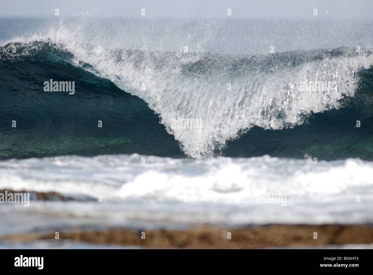 wave breaking on the reef at Brimms Ness near thurso highlands scotland ...