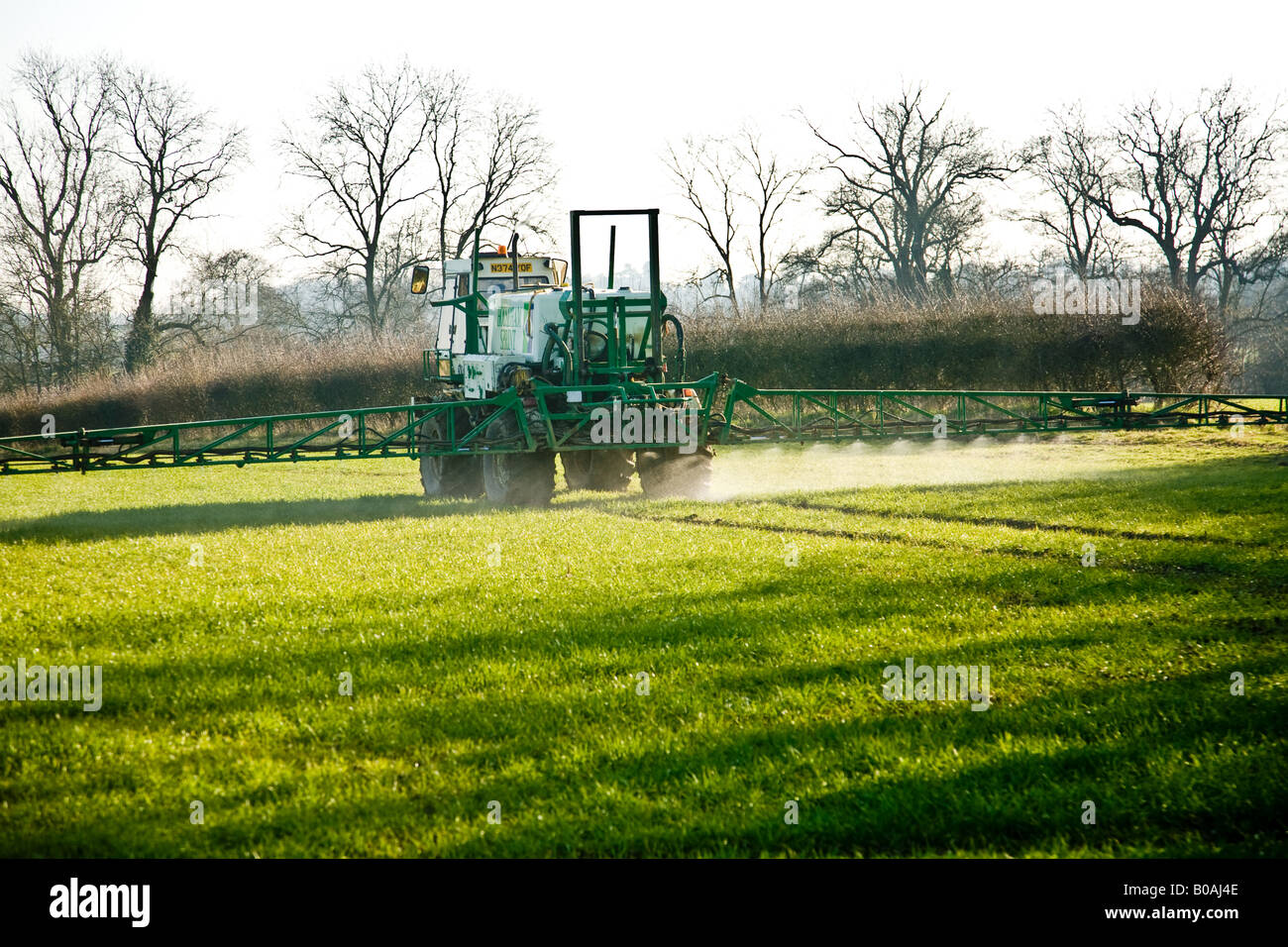 Spraying Wheat to control Weeds Stock Photo - Alamy