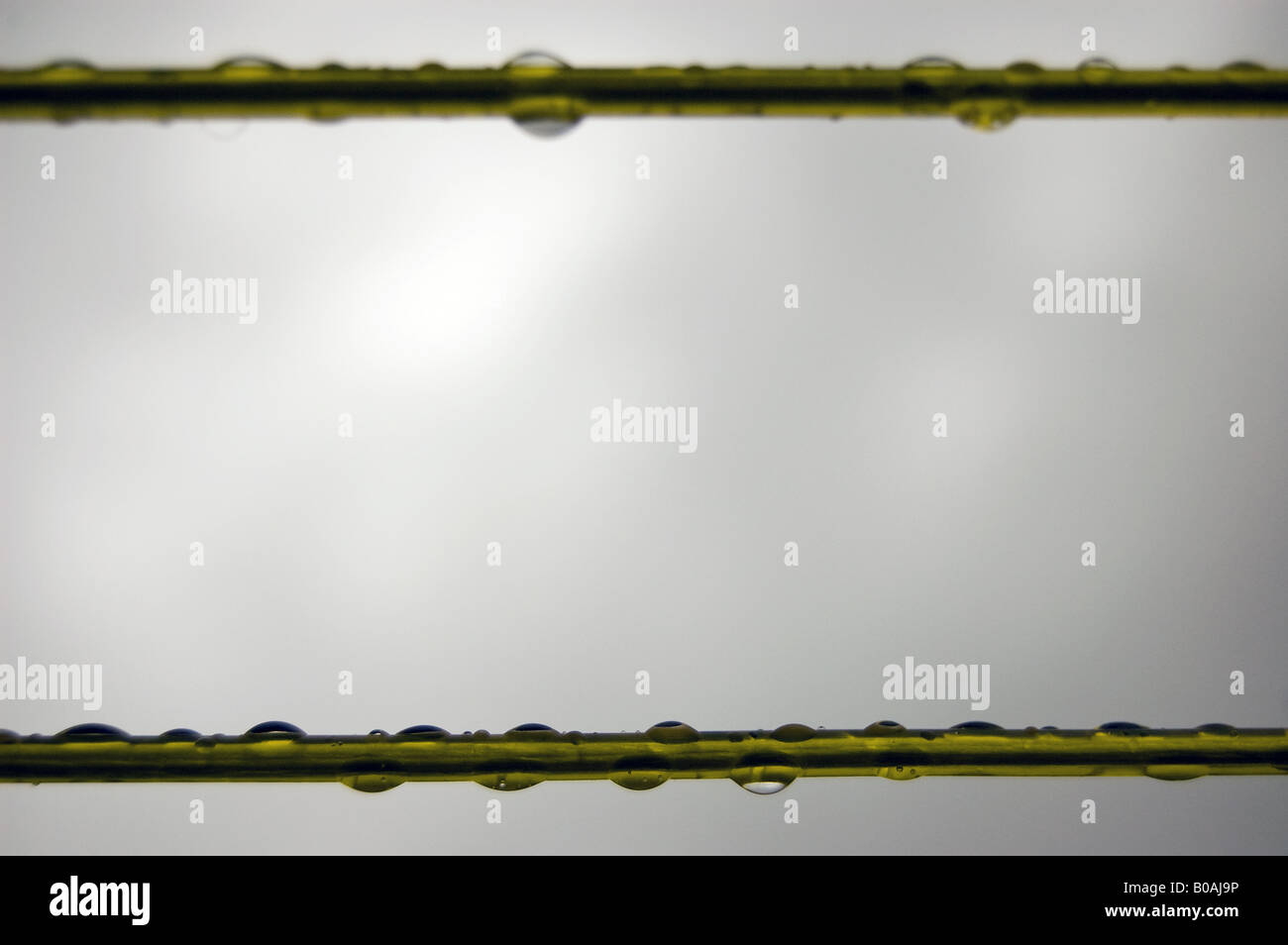 Rain line hi-res stock photography and images - Alamy
