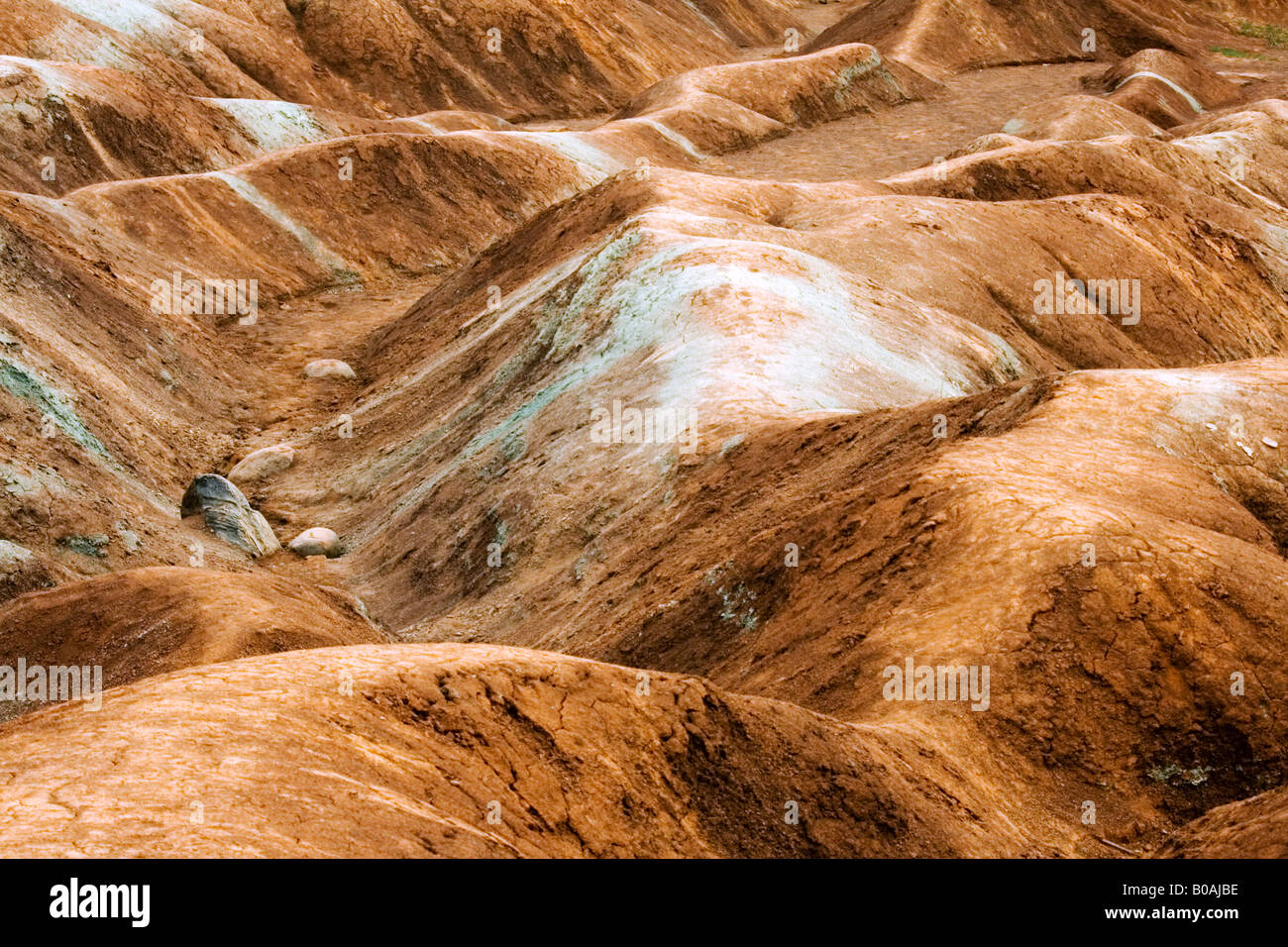 Mudstone sedimentary rock sample hi-res stock photography and images ...