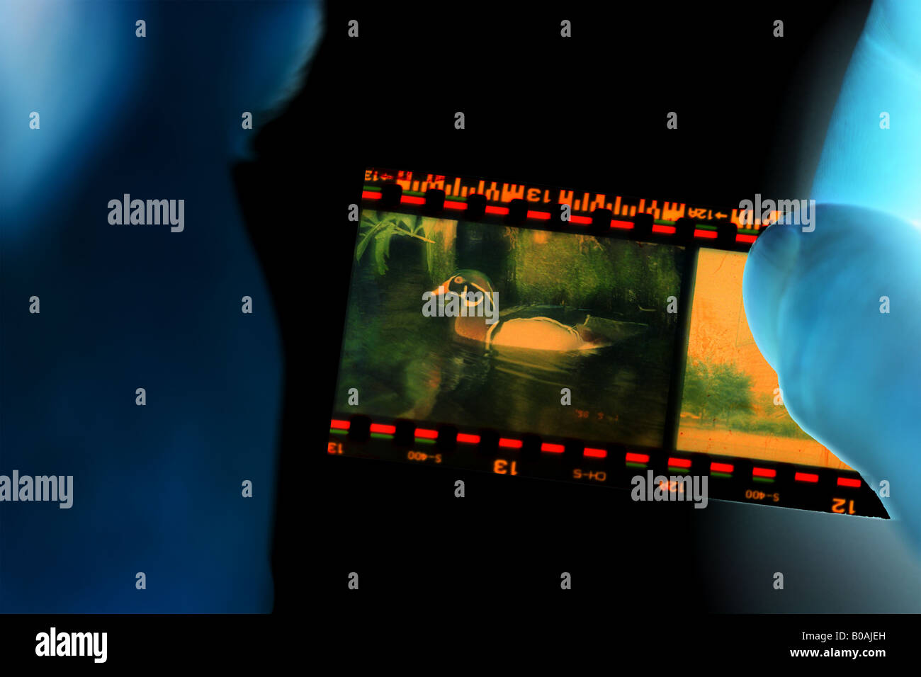 Old negative hi-res stock photography and images - Alamy