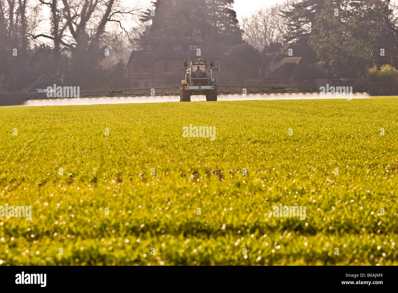 Spraying Wheat to control Weeds Stock Photo - Alamy