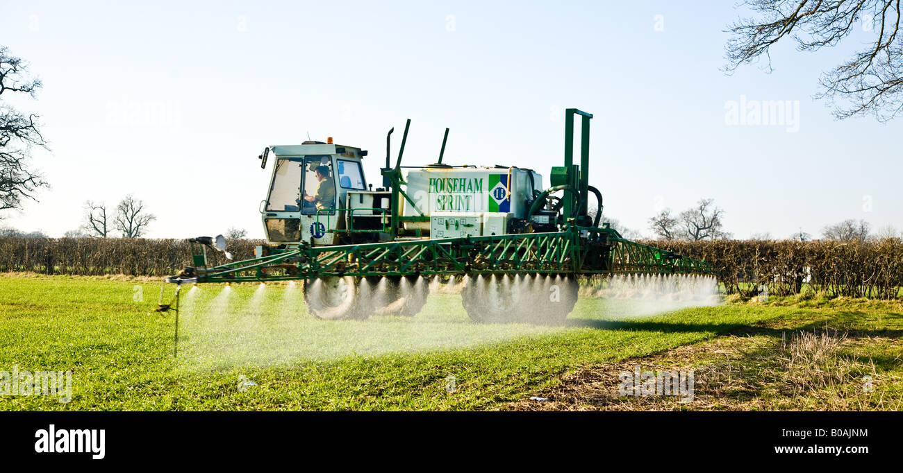 Spraying Wheat to control Weeds Stock Photo - Alamy
