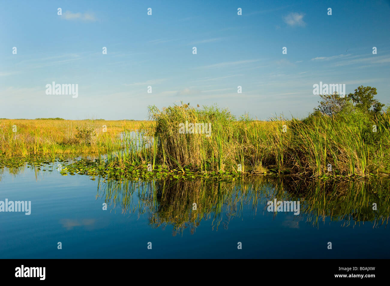 The grasslands and marshes of the Everglades Florida USA Stock Photo ...