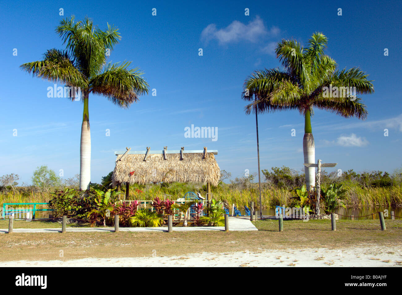 Native American shelter in the Everglades Florida USA Stock Photo - Alamy