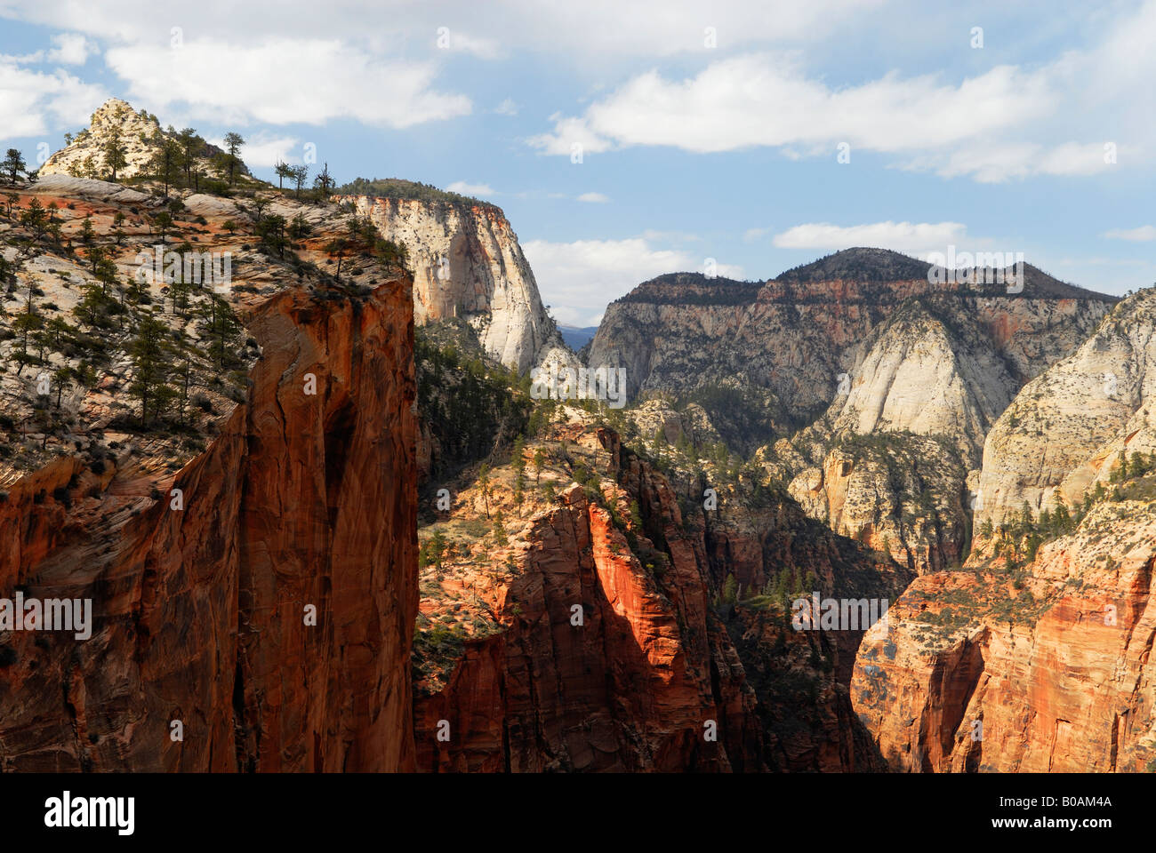 Red rock cliffs in Zion National Park, Southern Utah Stock Photo - Alamy