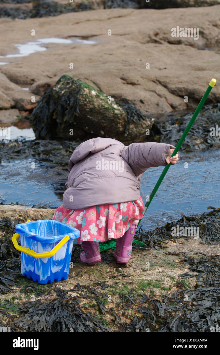 Family rockpooling hi-res stock photography and images - Alamy