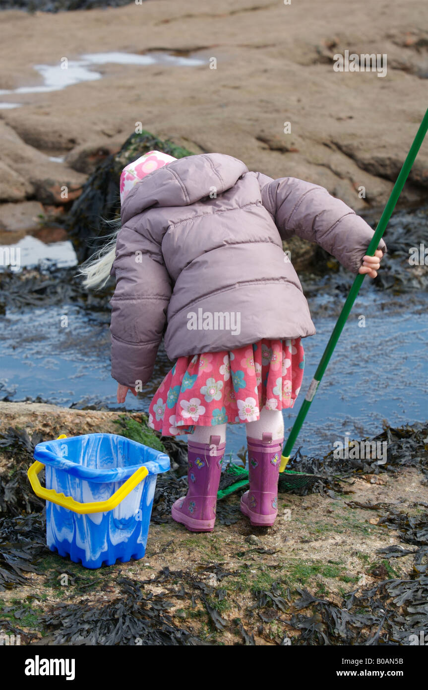 Child rockpooling hi-res stock photography and images - Alamy