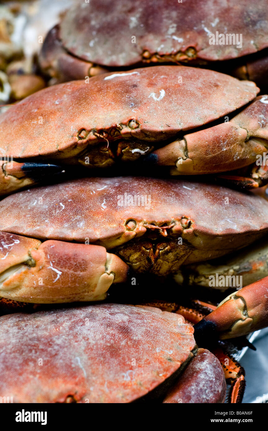 Foodshellfish hi-res stock photography and images - Alamy