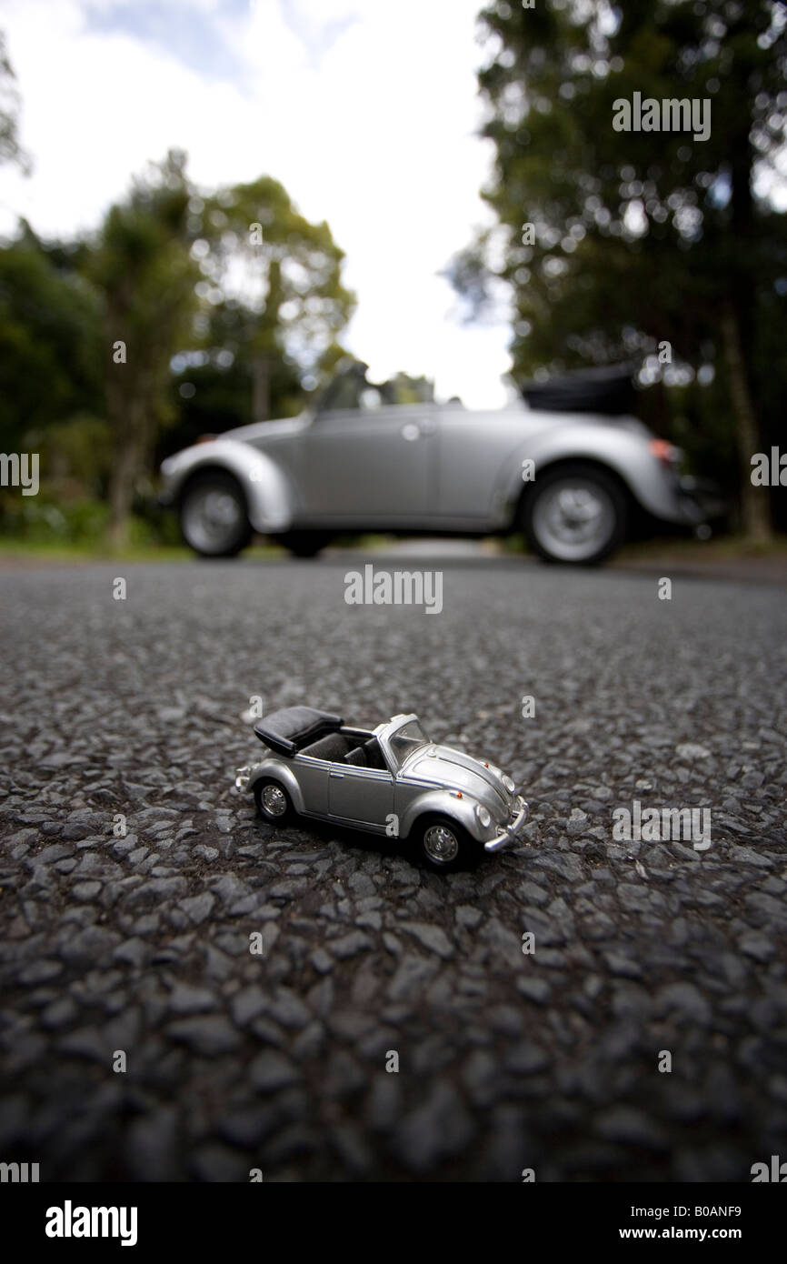 matching Convertible Beetles, Bugs Stock Photo - Alamy