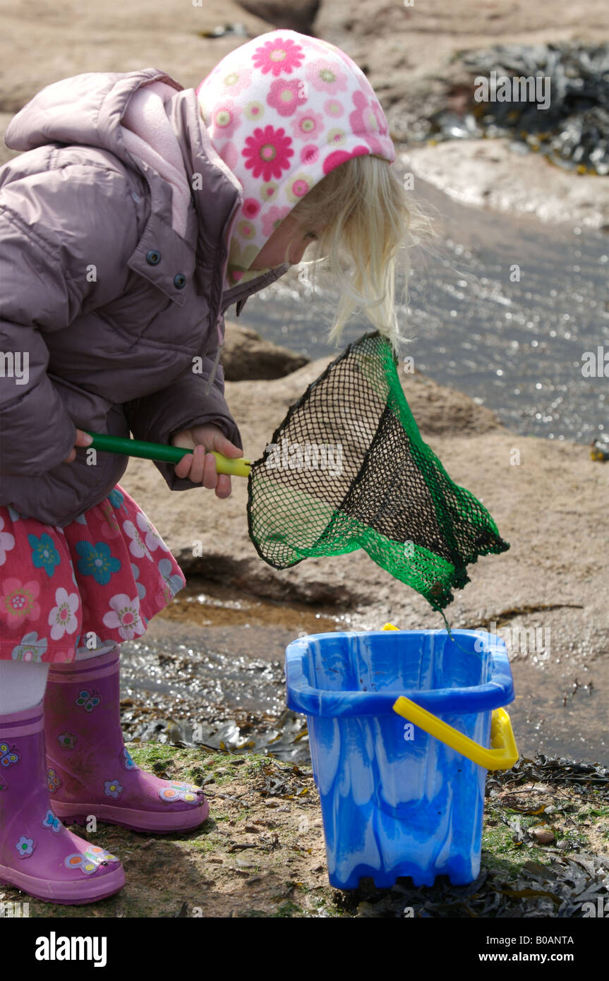 Family rockpooling hi-res stock photography and images - Alamy