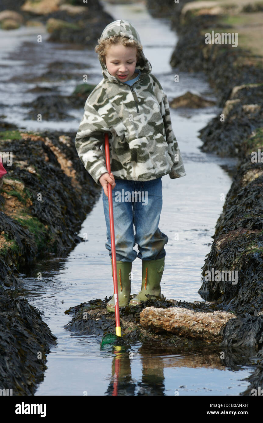 Rock pool net bucket hi-res stock photography and images - Alamy