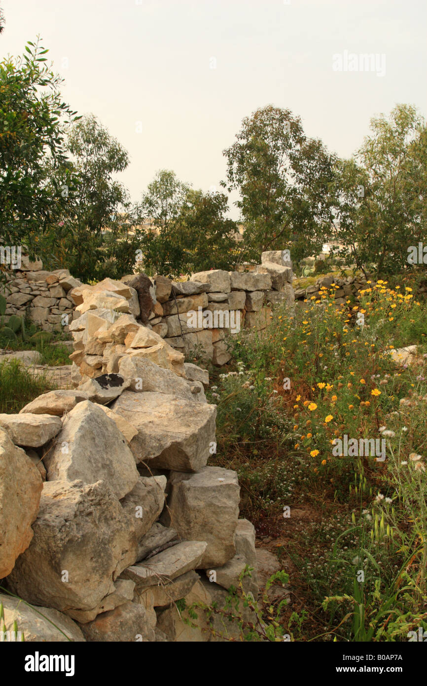 Dry Stone Wall, Malta Stock Photo - Alamy