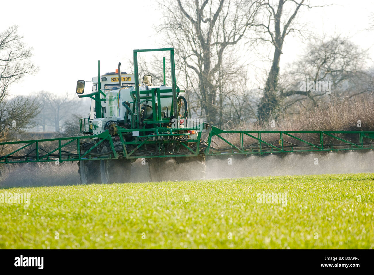 Spraying Wheat to control Weeds Stock Photo - Alamy