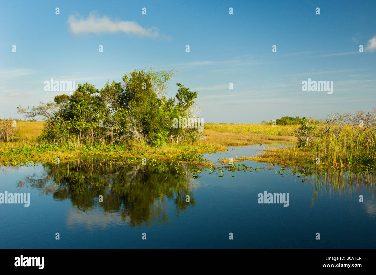 The grasslands and marshes of the Everglades Florida USA Stock Photo ...