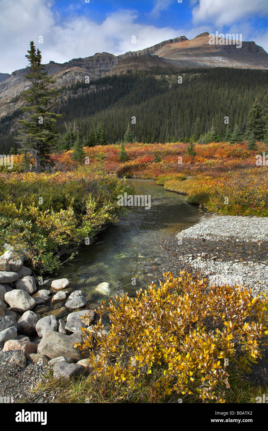 Shallow small river shallows and a ferry in the autumn Stock Photo - Alamy