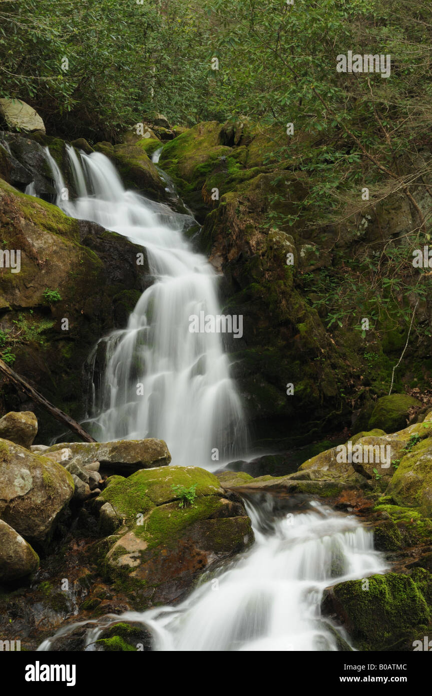 Mouse Creek Falls Stock Photo - Alamy