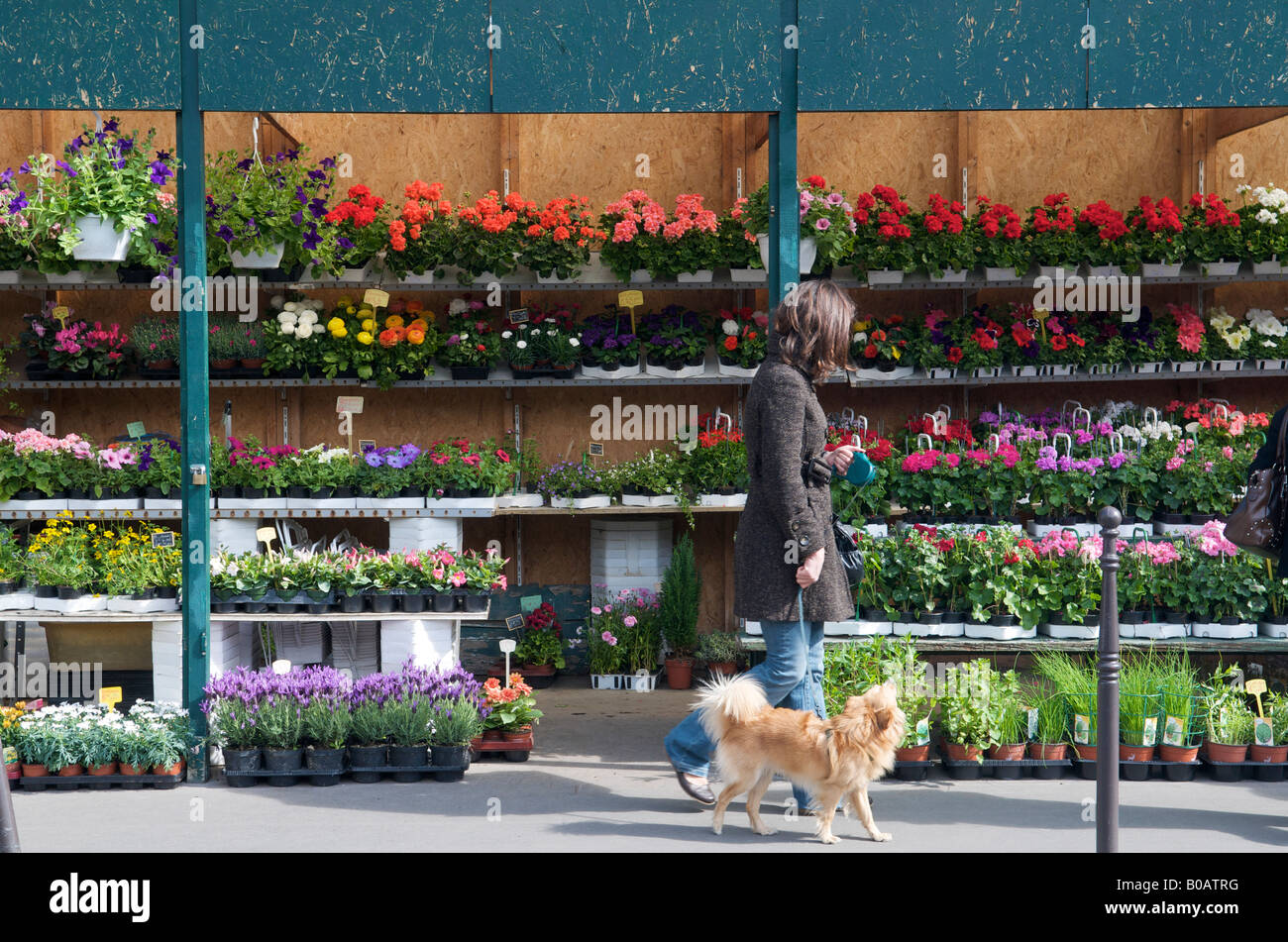 Paris flower market Stock Photo - Alamy