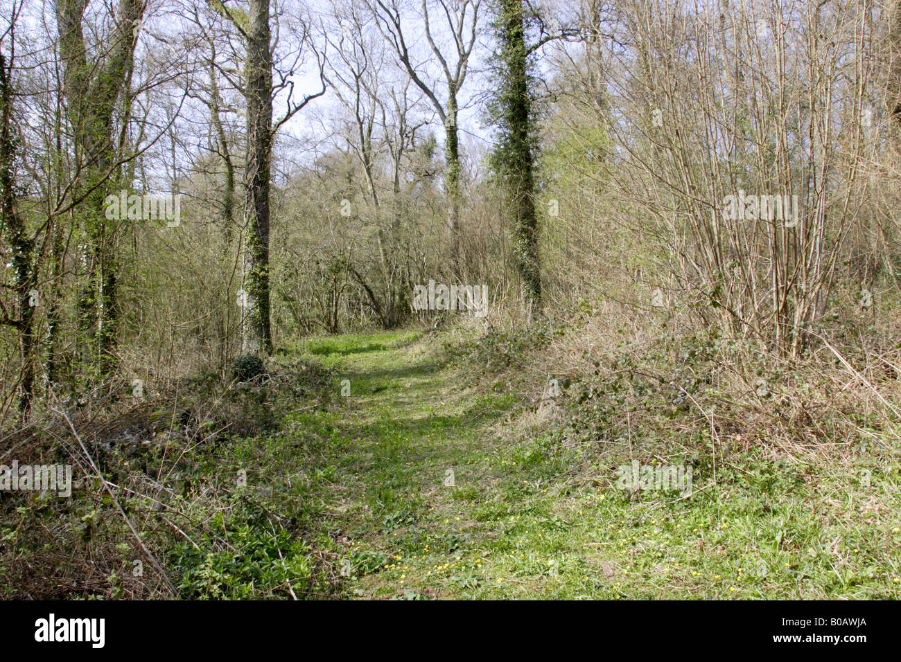 Early ride hi-res stock photography and images - Alamy