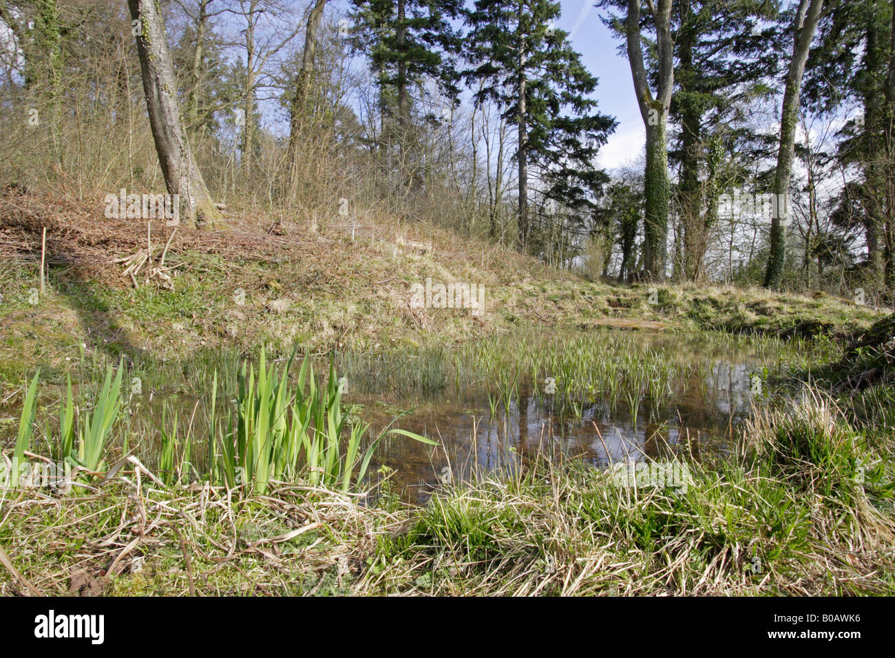 Early spring hi-res stock photography and images - Alamy