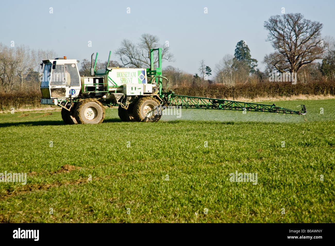 Spraying Wheat to control Weeds Stock Photo - Alamy
