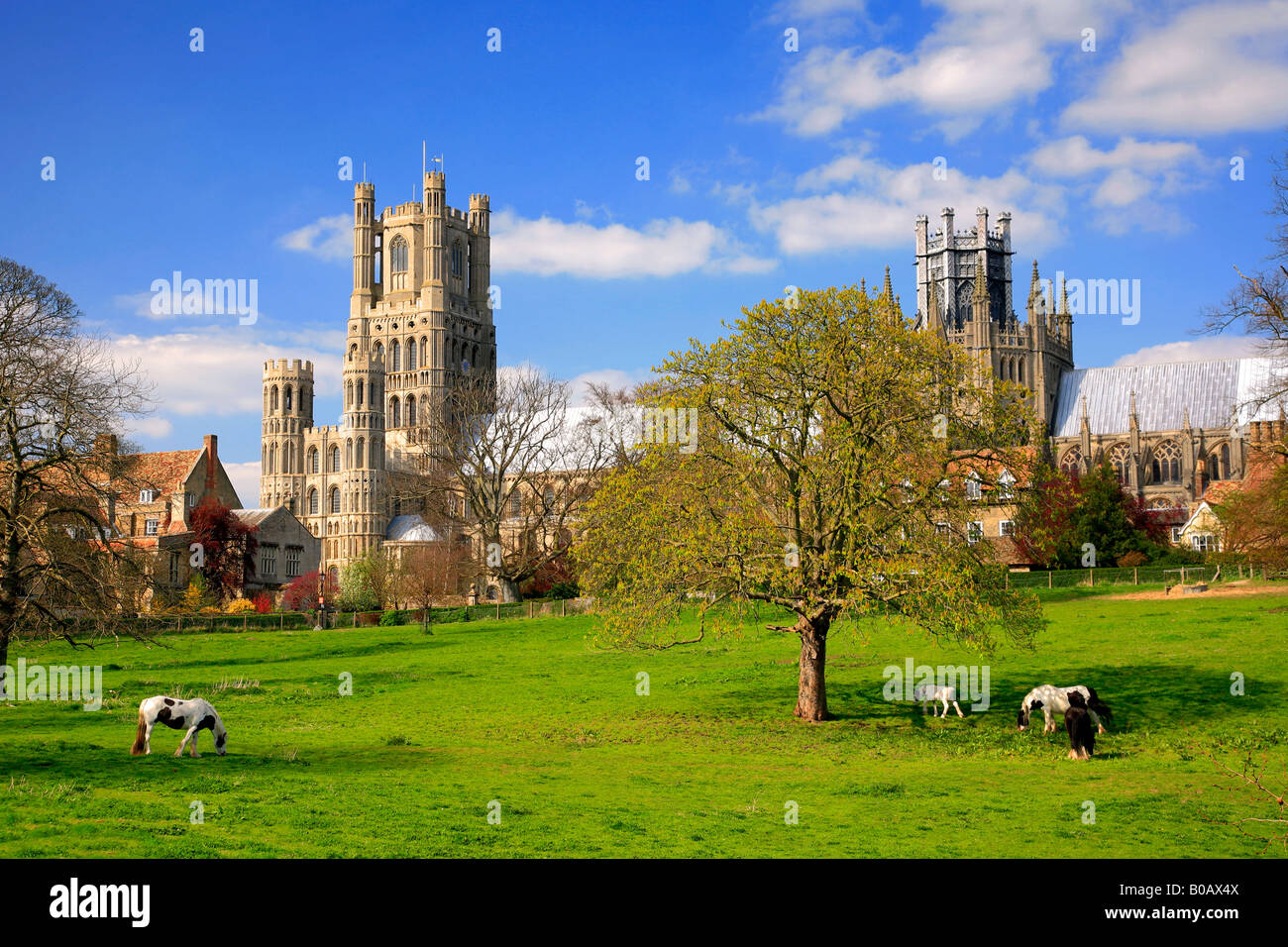 Ely Cathedral South Elevation Ely City Cambridgeshire England Britain ...