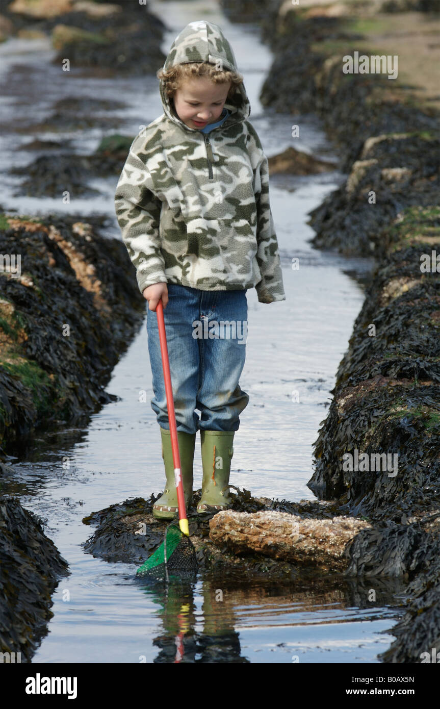 Child rockpooling hi-res stock photography and images - Alamy