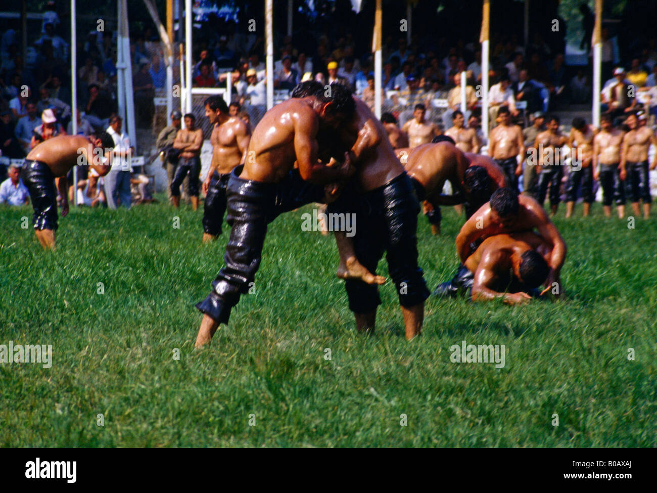 Edirne Turkey Men Oil Wrestling (Yagli Gures) At Kirkpinar Tournament ...