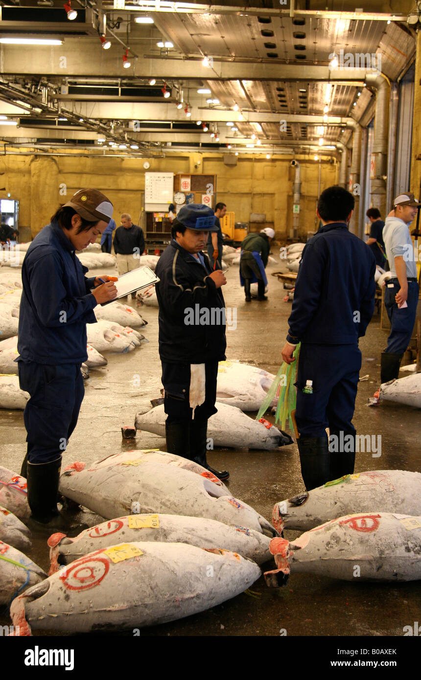 Tsukiji wholesale fish Market, the Tuna Auction, Tokyo, Japan Stock ...
