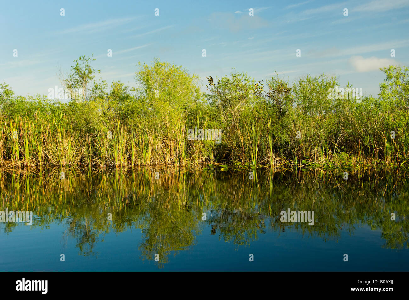 The grasslands and marshes of the Everglades Florida USA Stock Photo ...