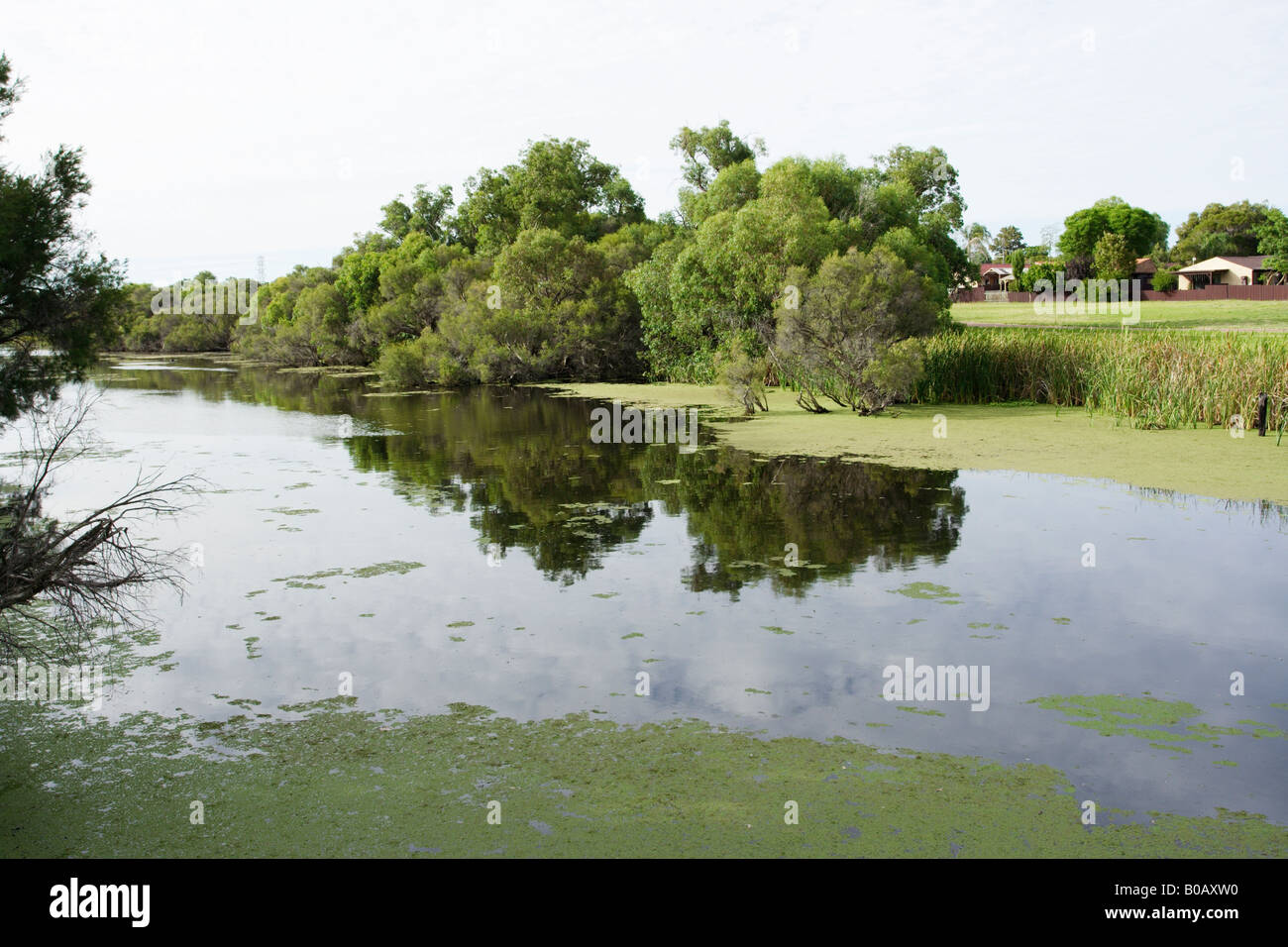 Canning River near Perth, Western Australia Stock Photo - Alamy