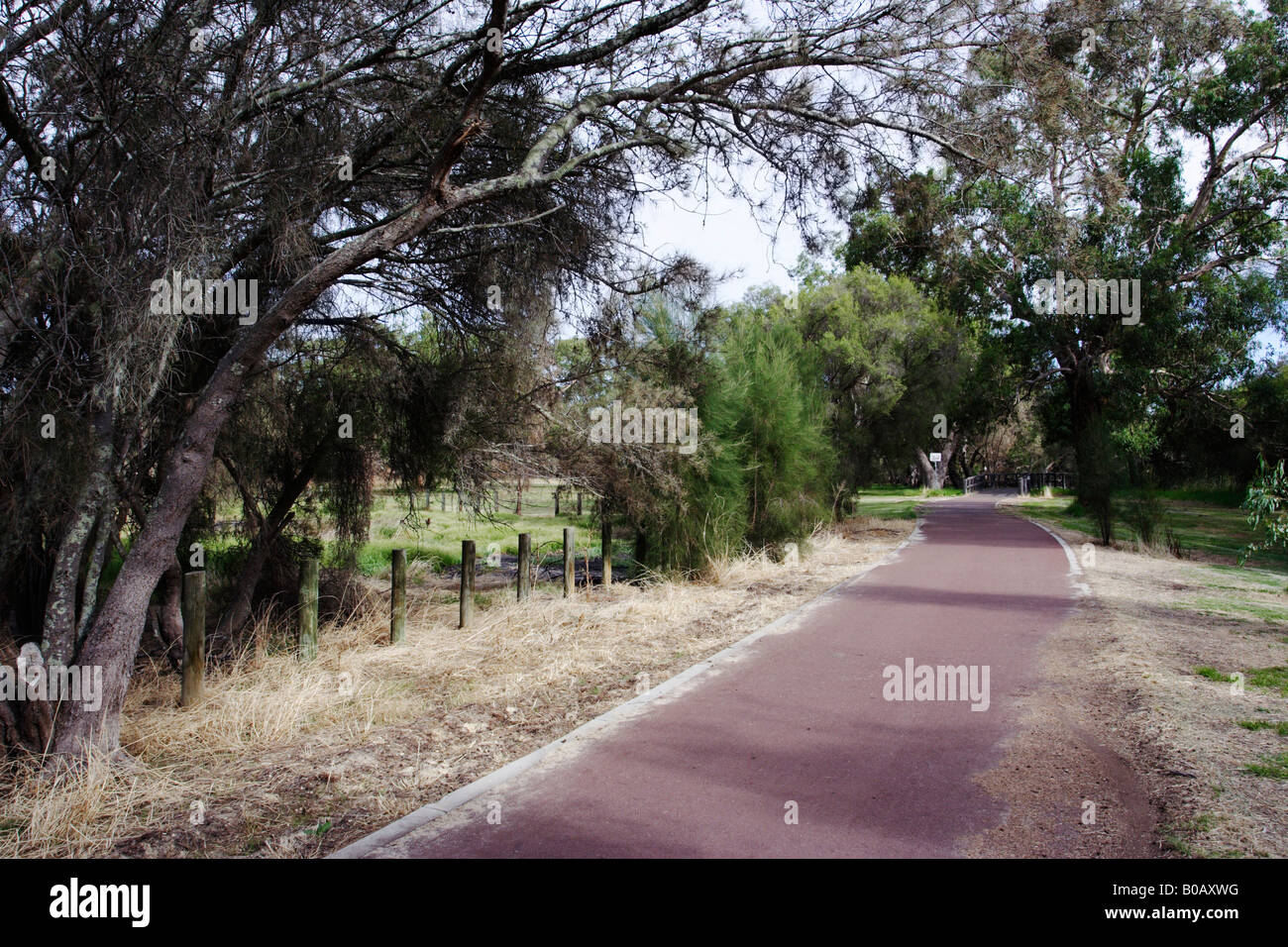 Footpath at Canning River Regional Park near Perth, Western Australia ...