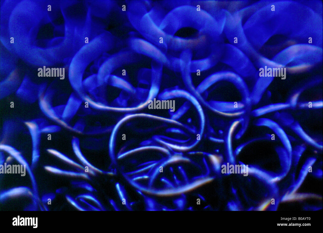 linked metal strands Stock Photo - Alamy