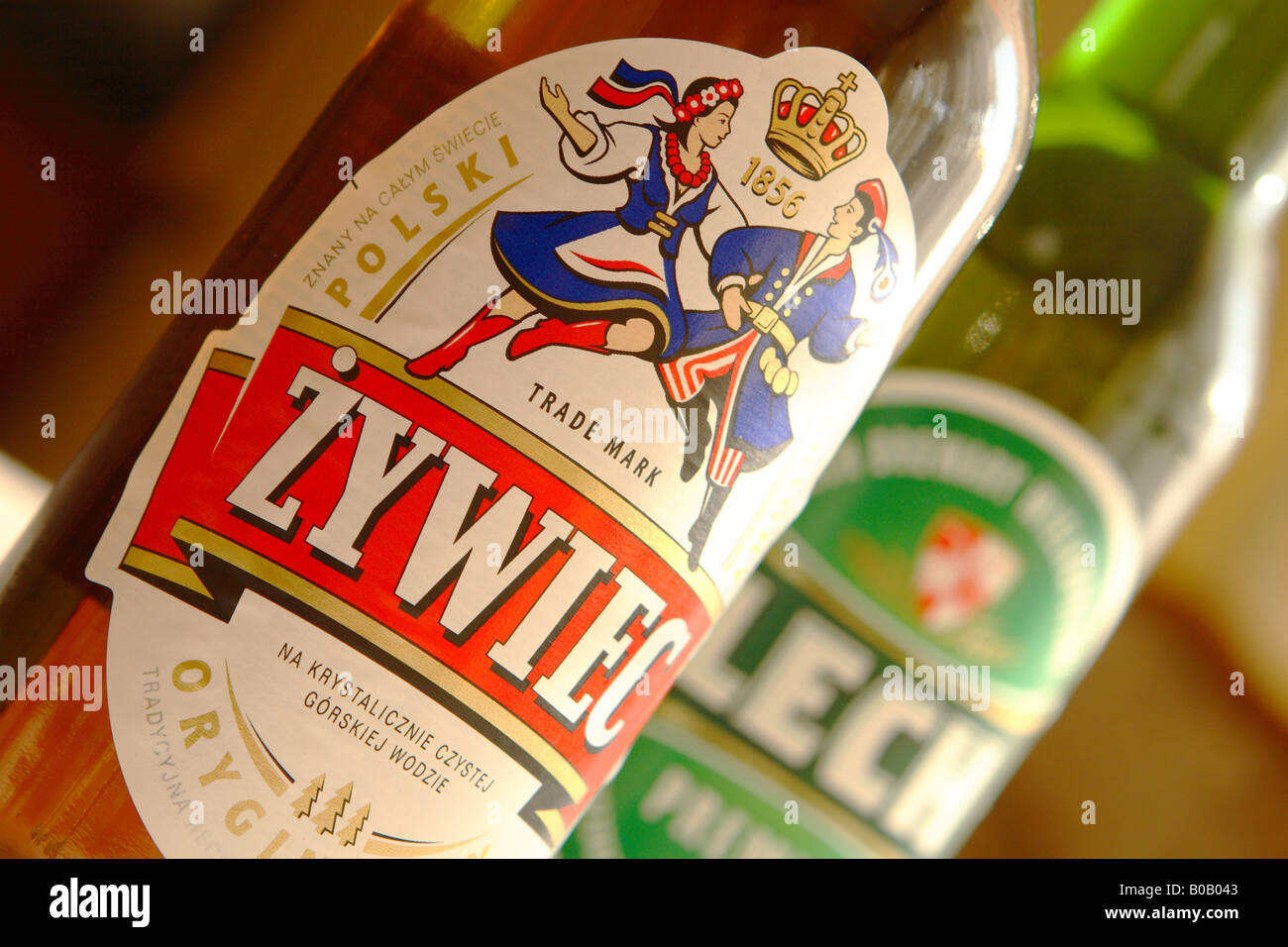 Polish beer famous brand Zywiec with bottle of Lech beer behind Stock ...