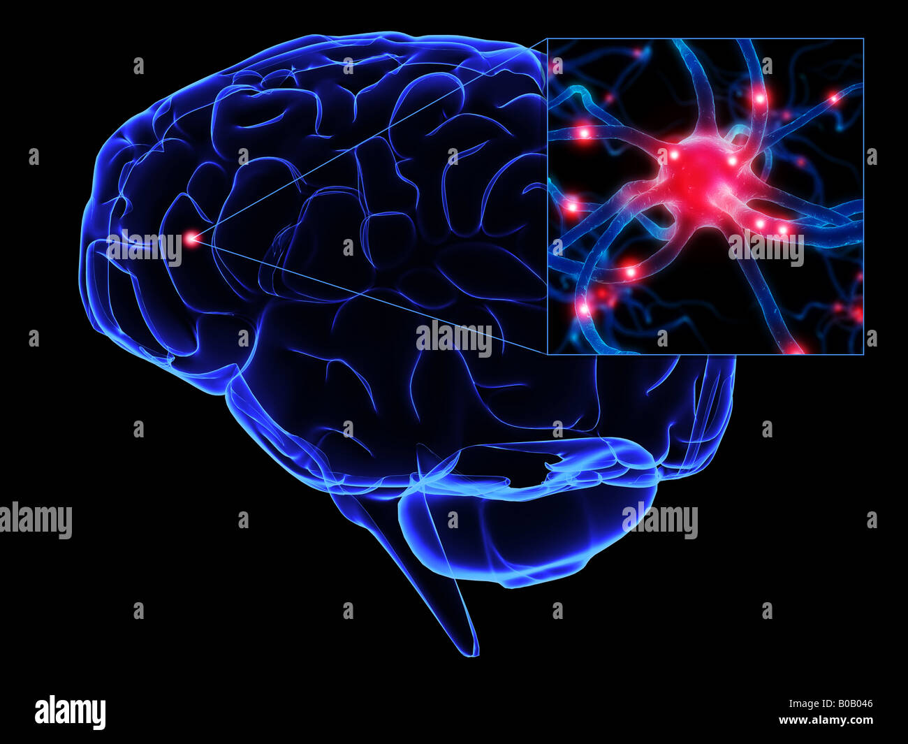 Neuron brain hi-res stock photography and images - Alamy