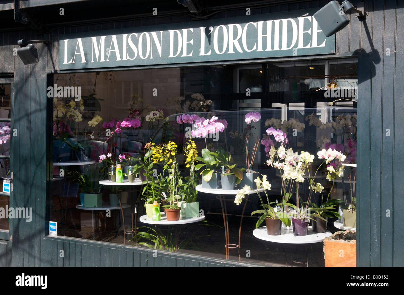 Paris france marché aux fleurs hi-res stock photography and images - Alamy