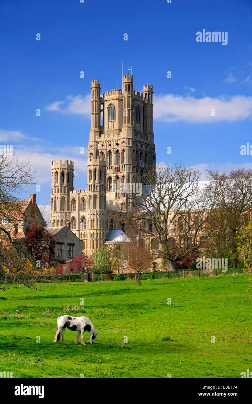 Ely Cathedral South Elevation Ely City Cambridgeshire England Britain ...