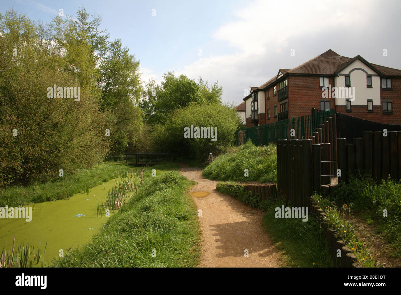 Nature reserve South London Stock Photo - Alamy