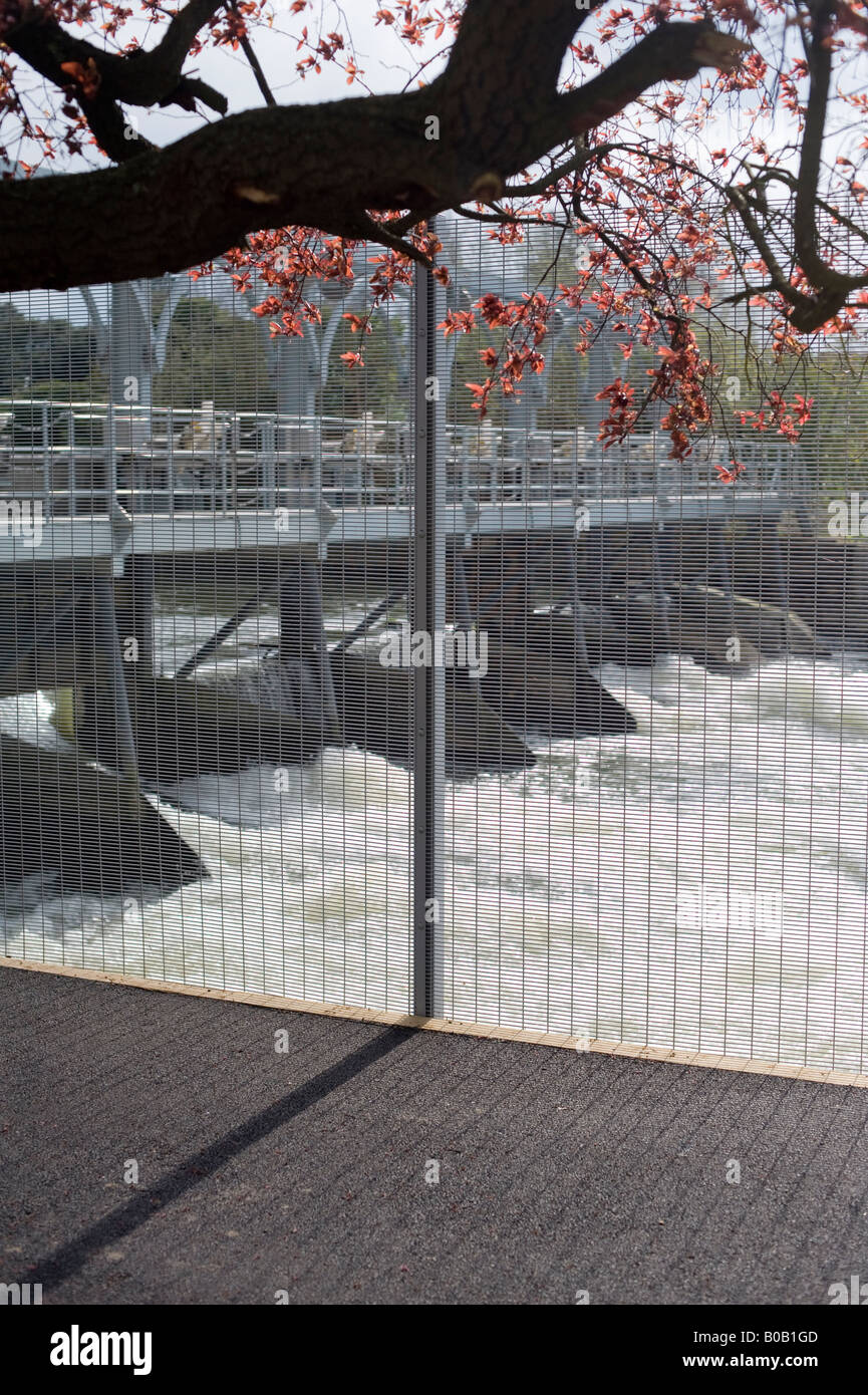 river with tree in foregroung Stock Photo - Alamy