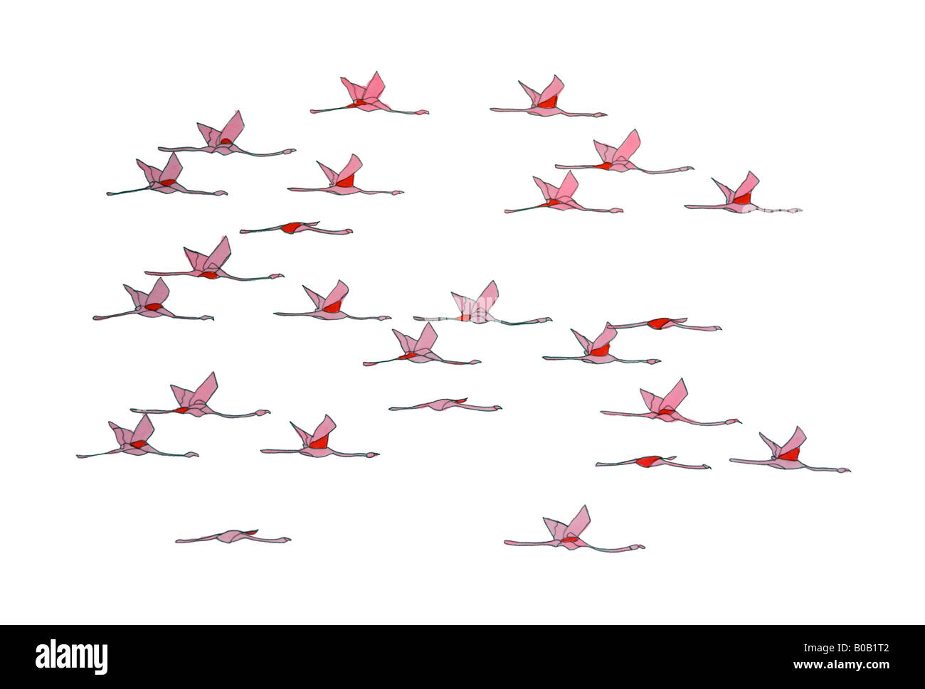 Flight image Cut Out Stock Images & Pictures - Alamy