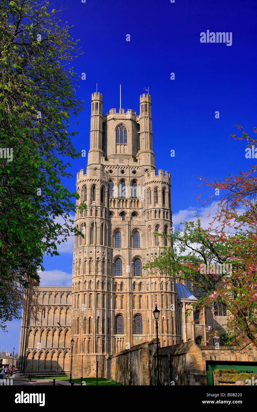Ely Cathedral South Elevation Ely City Cambridgeshire England Britain ...