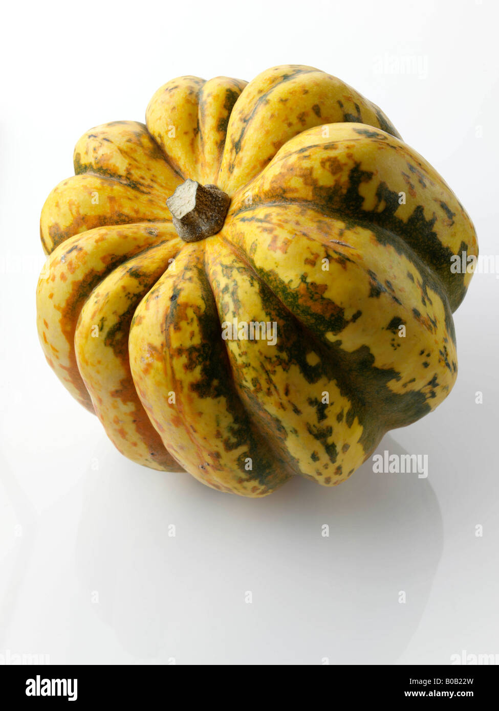 A squash on a white background editorial food Stock Photo - Alamy