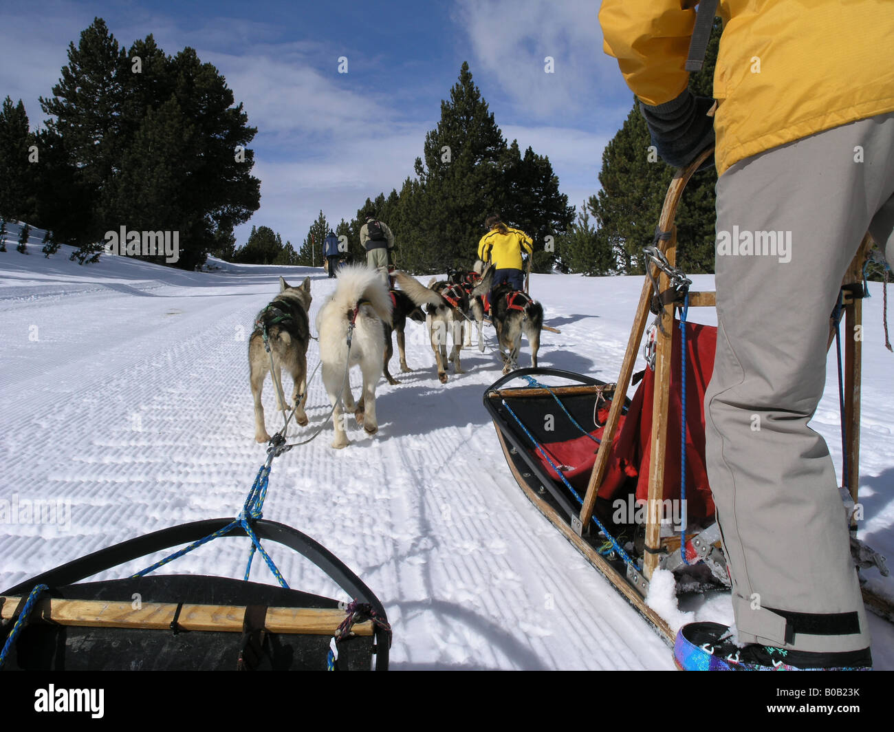 Andorra snow dog hi-res stock photography and images - Alamy