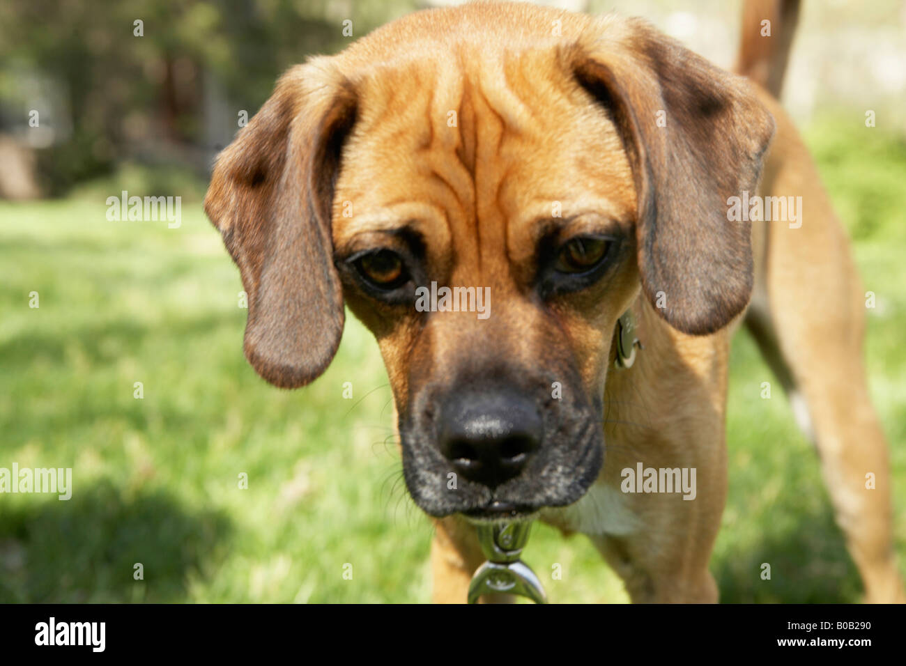 Face turned upward hi-res stock photography and images - Alamy