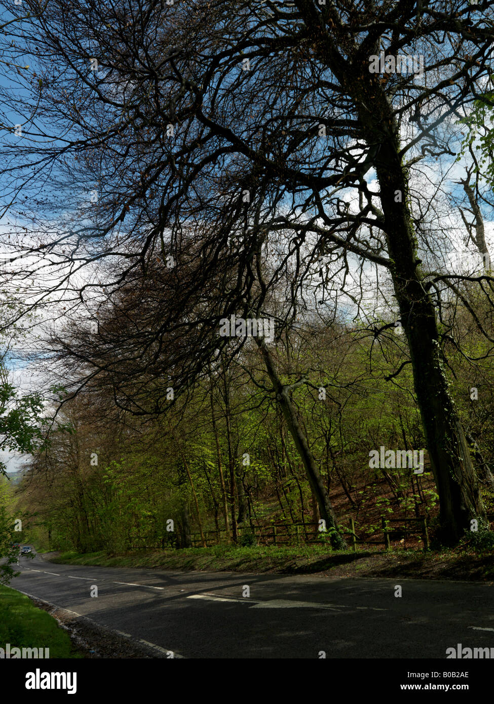 51685 hi-res stock photography and images - Alamy