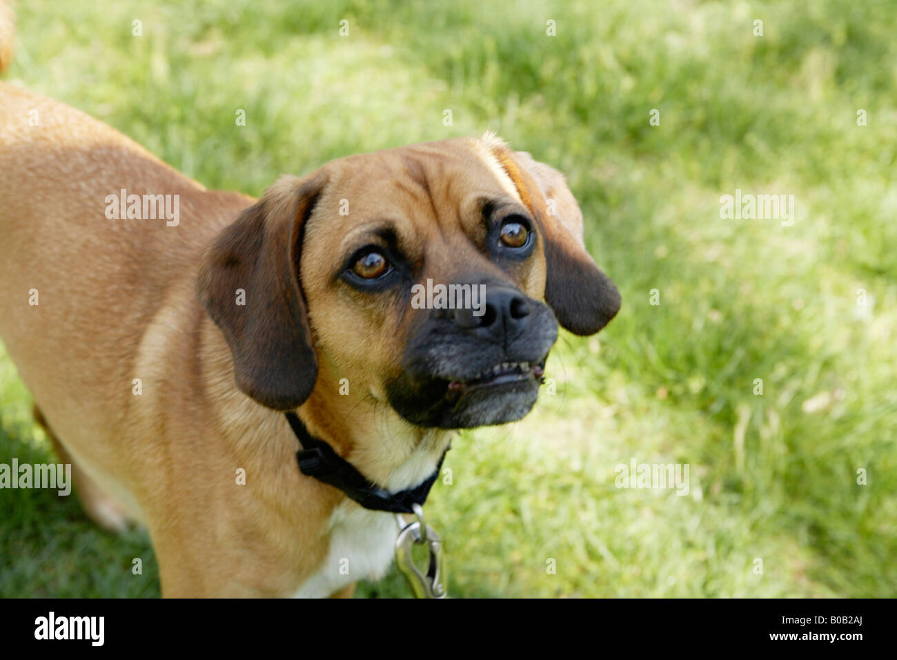 Face turned upward hi-res stock photography and images - Alamy